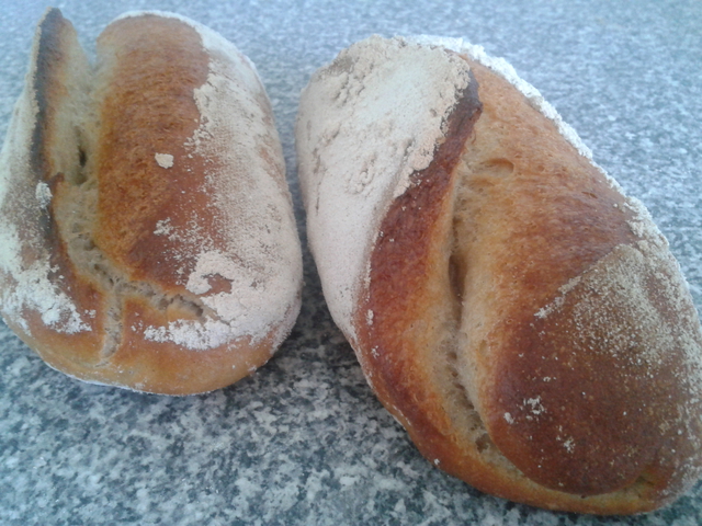 Krusti mit direkter Teigführung • Brotbackforum - Die Hobbybäckerei
